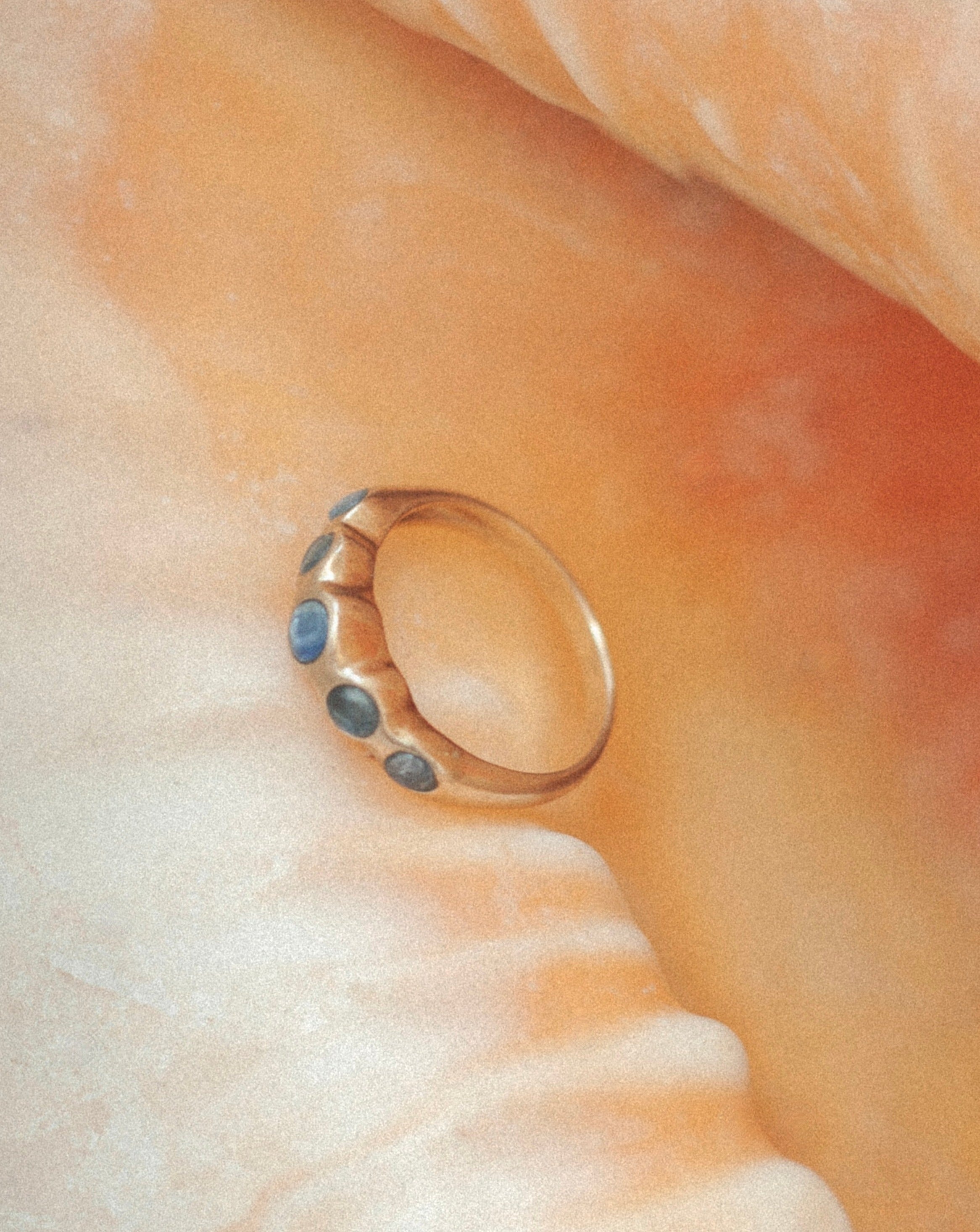 Fortress Ring – Mountainside