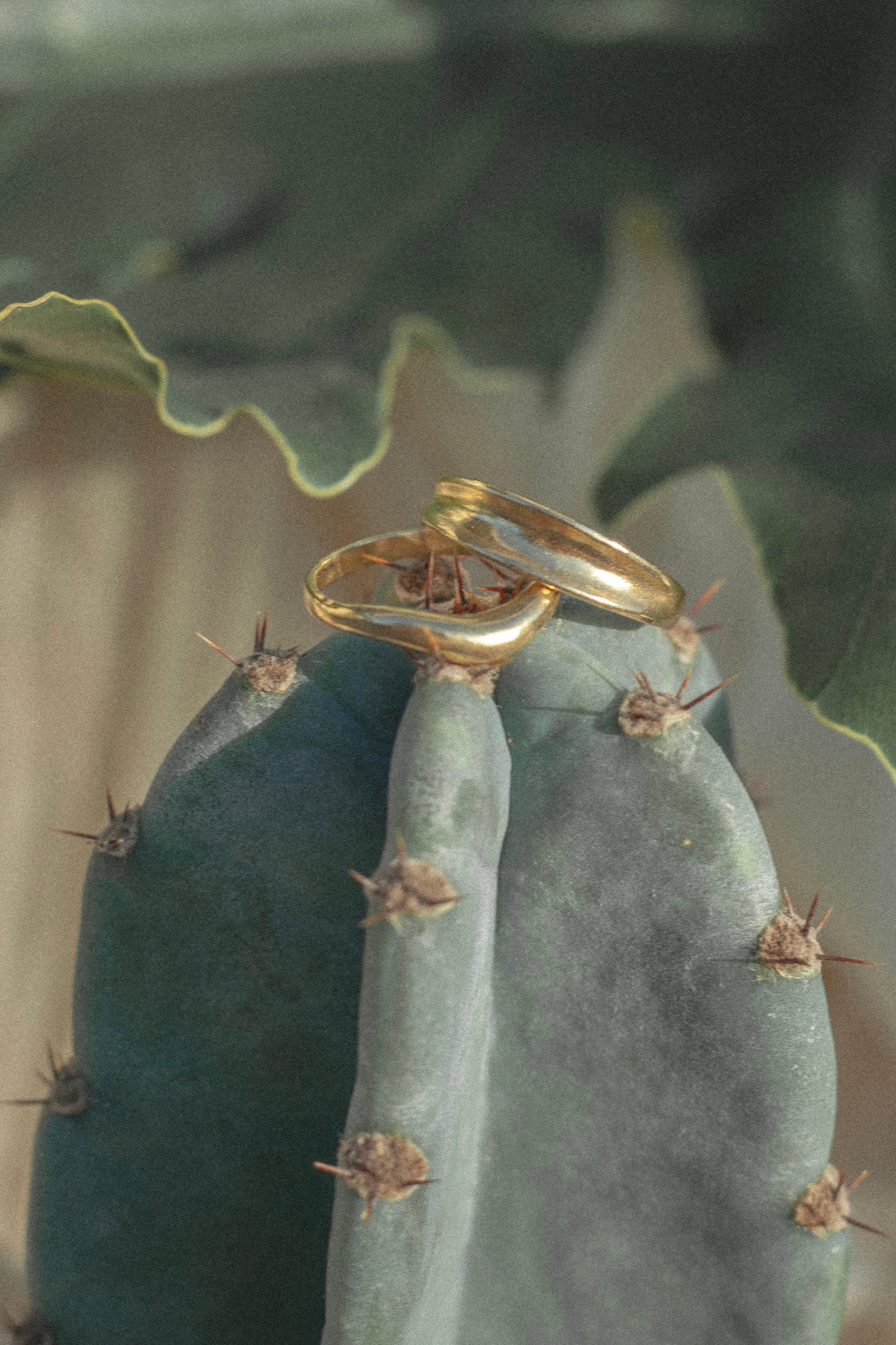 Vesta Ring – Mountainside