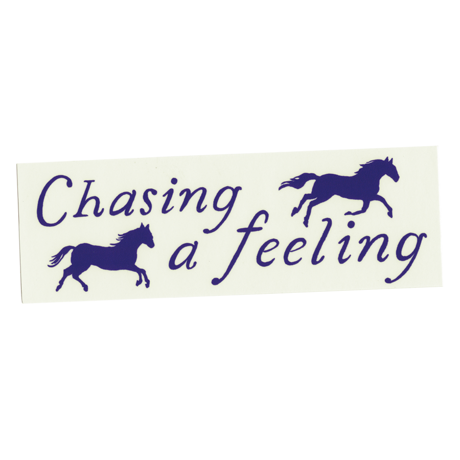 Chasing a Feeling Bumper Sticker – Mountainside