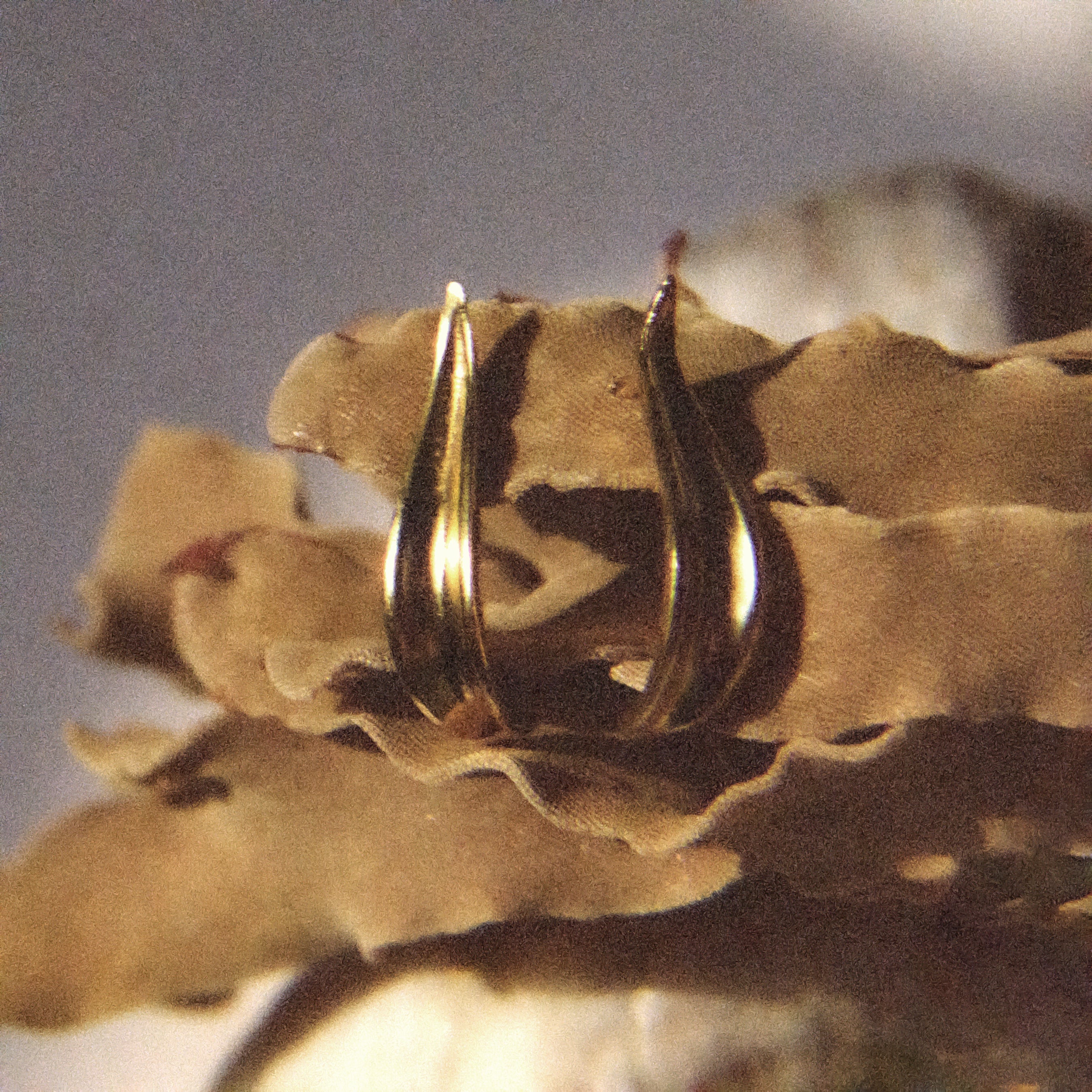 Morro Earrings – Mountainside