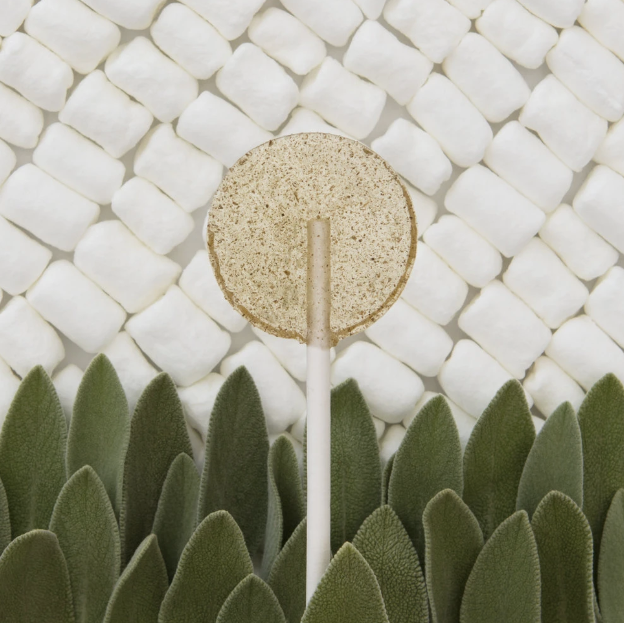 Organic Seed-Bearing Lollipops – Mountainside